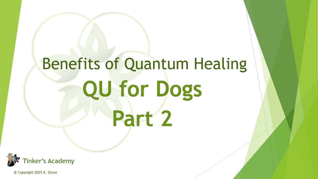 Benefits of Quantum Healing - Quantum Upgrade for Dogs Part 2 - YouTube