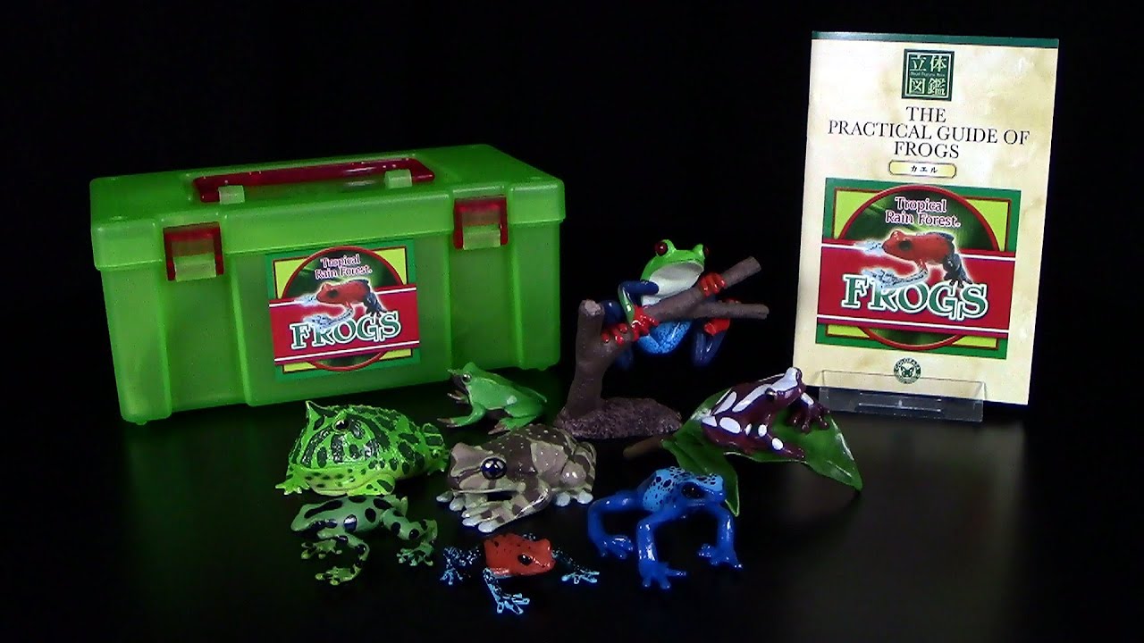 Colorata ® Tropical Rain Forest ® Frogs / Tropische Frösche - Teil 3 ...