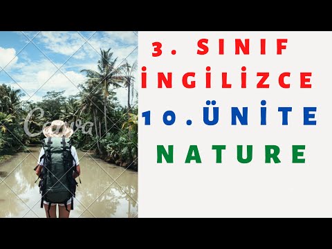 3. Sınıf İngilizce 10. Ünite   (Nature - Doğa) Konu Anlatımı