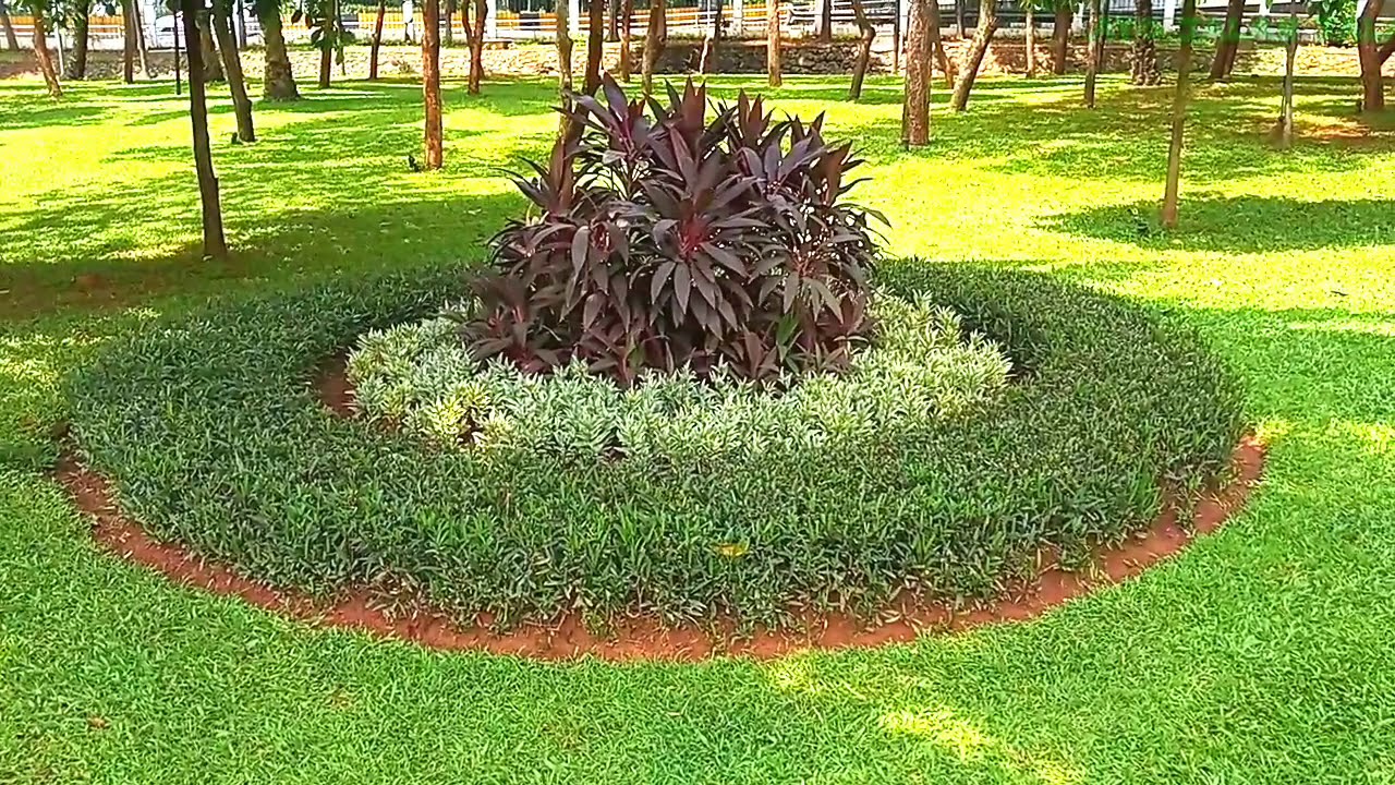 Taman Cattleya - Taman Indah di Kota Jakarta - YouTube