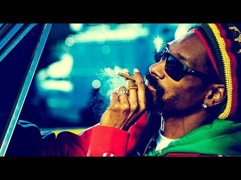VIDEOS PARA STATUS WHATSAPP  * snoop dogg weed* #2