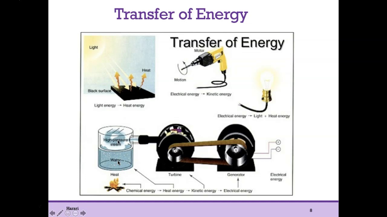 BIO1 Online | Chapter 4: Energy of Life - YouTube