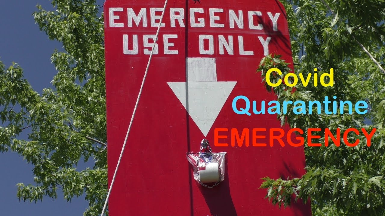 Covid Quarantine EMERGENCY SONG - YouTube
