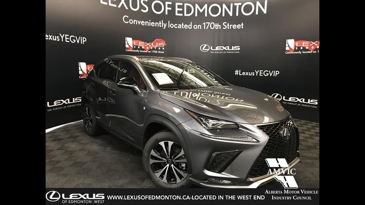 Grey 2019 Lexus NX 300 F Sport Series 3 Walk Around Review - West ...