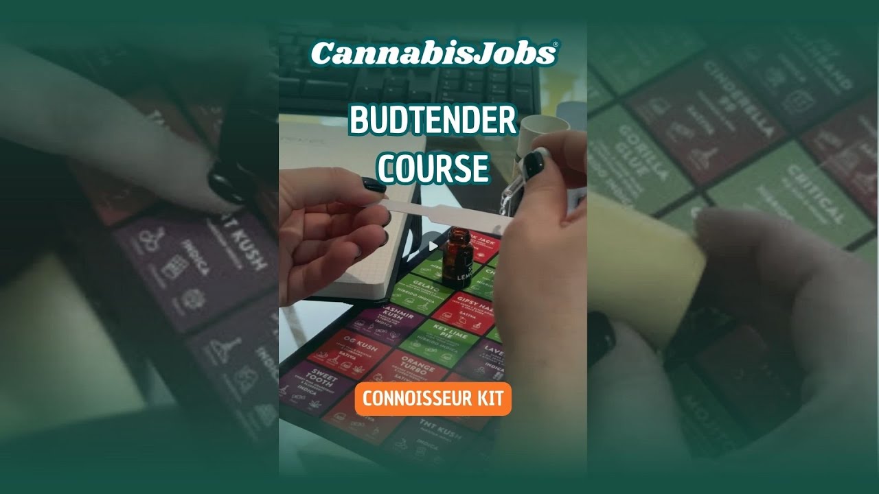 BUDTENDER COURSE - CONNOISSEUR KIT - YouTube
