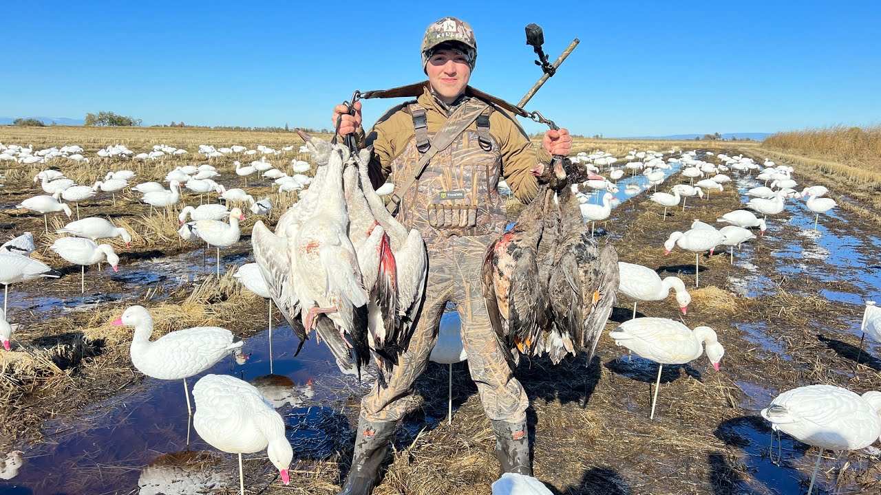 Ultimate Goose Hunting Adventure:Secrets to Bagging more Goose! - YouTube