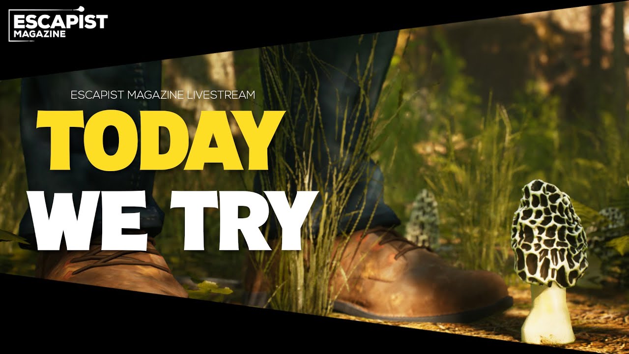 Today Jack Packard and Nick Try Morels: The Hunt | Livestream - YouTube