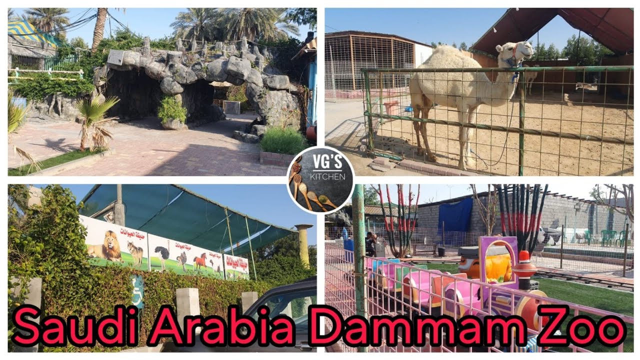 Saudi Arabia Dammam Mini Zoo | Zoo in Saihat| Al Homaid Zoo | Children ...