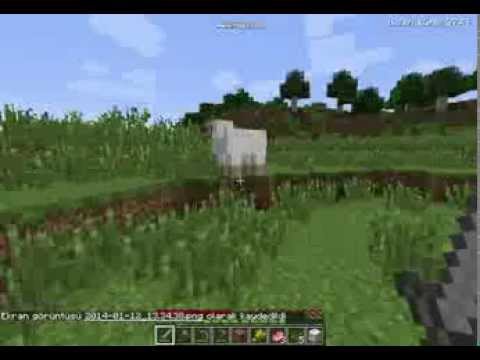 Minecraft - Koyun Katliamı :D