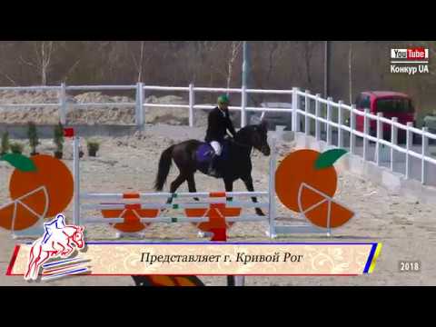 Легион. Путилин Александр. 85-90 см. Конкур в Днепре. КСК "Klimenko Stable". 13.04.2018 г. - YouTube