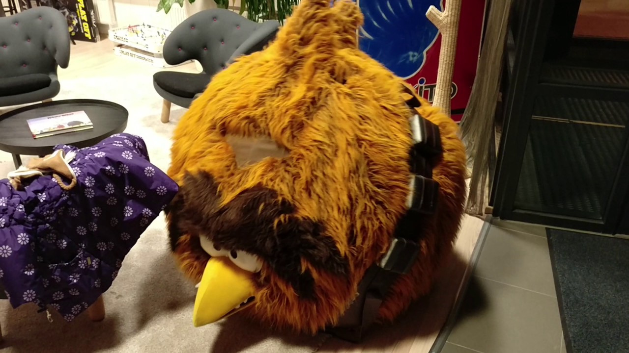 Angry Chewbacca Bird from Star Wars - YouTube