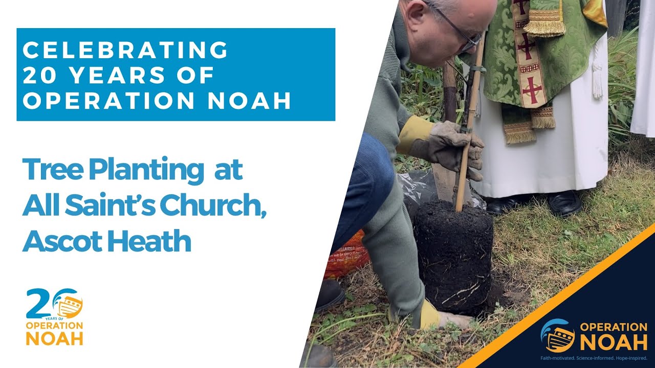 Celebrating 20 Years of Operation Noah - YouTube