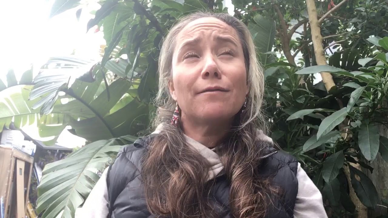 Lexia awards 4/20/20 3rd grade - YouTube