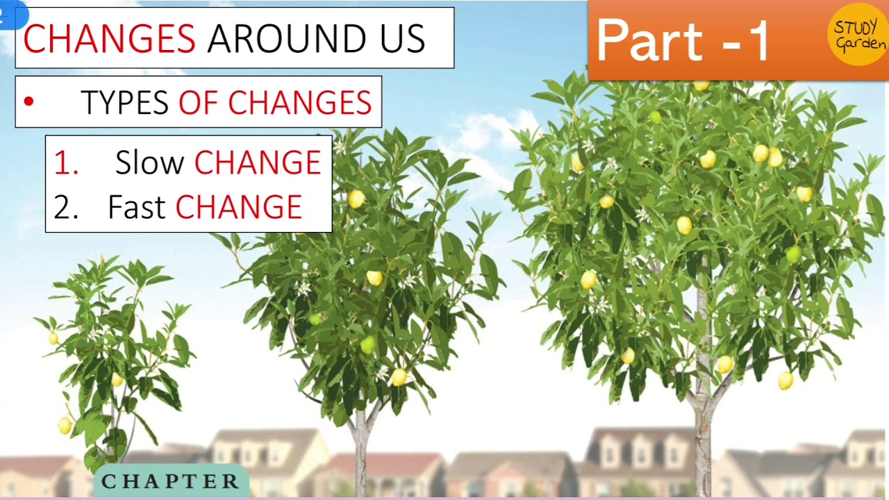 Changes around us || ep01 class 6 science Dav cbse - YouTube