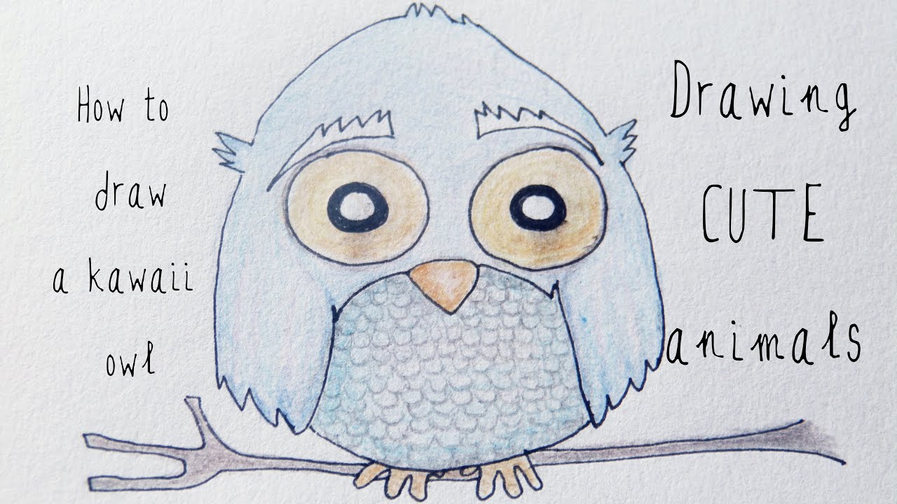 How to draw a kawaii owl | Drawing cute animals - YouTube