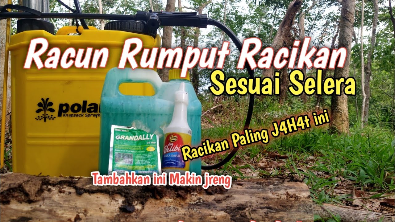 1jam K.O. CARA RACUN RUMPUT menggunakan Herbisida X - YouTube