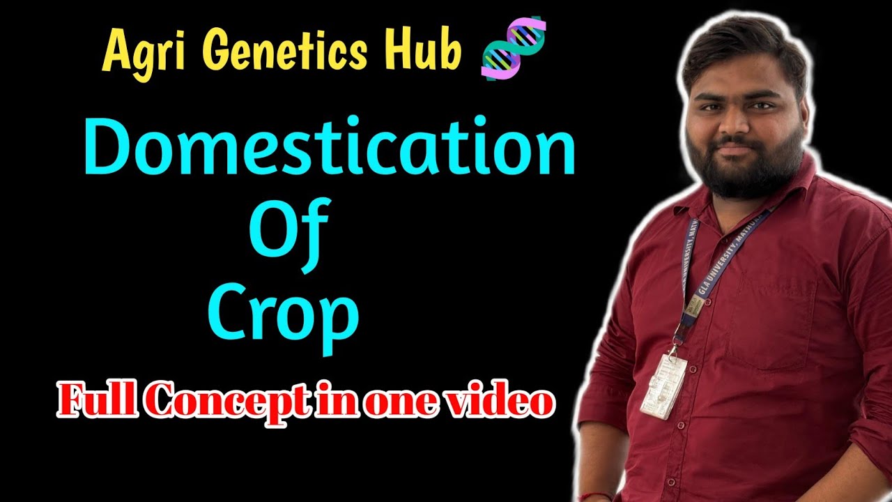 Domestication of crop || In Plant Breeding || Agri Genetics Hub - YouTube