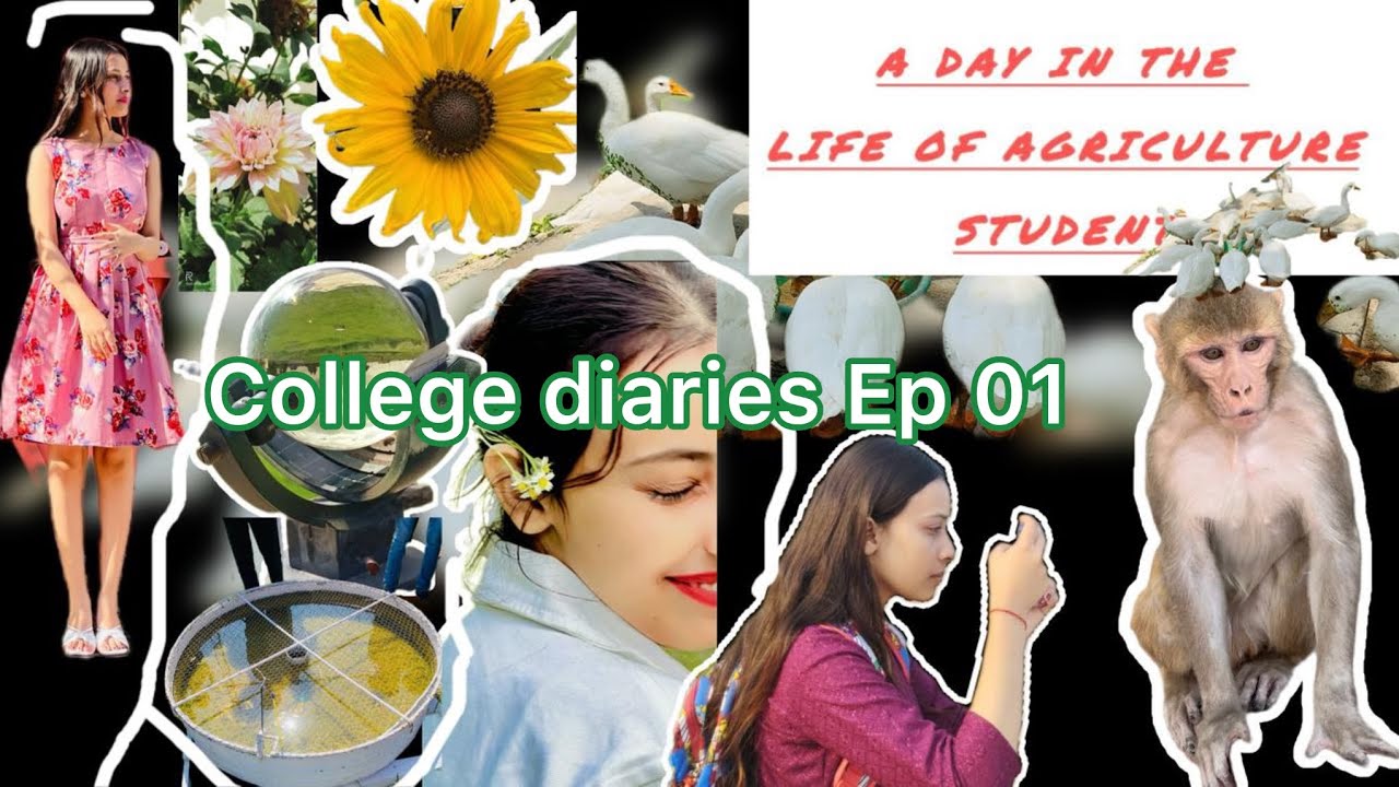 College diaries | EP. 01 | A day in the life of agriculture student at ...