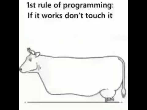 first rule of programming if it works don't touch it - YouTube