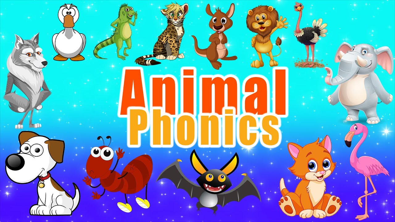 Animal Phonics Song | Nursery Rhymes for Toddlers | LittleKidsTV - YouTube
