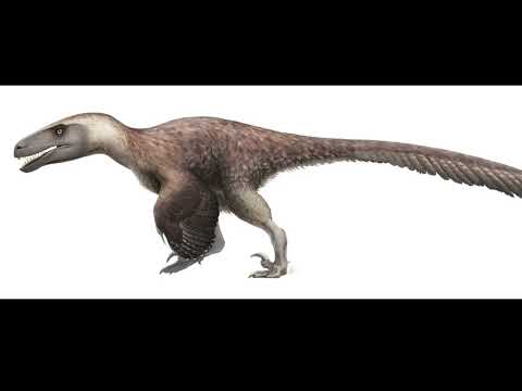 Utahraptor (Sound Effects)