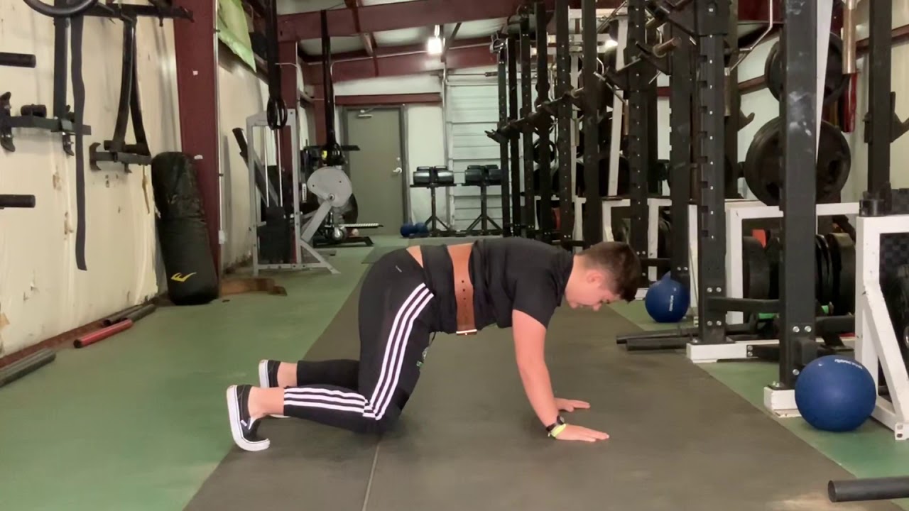 Bear Plank Variation w. belt - YouTube