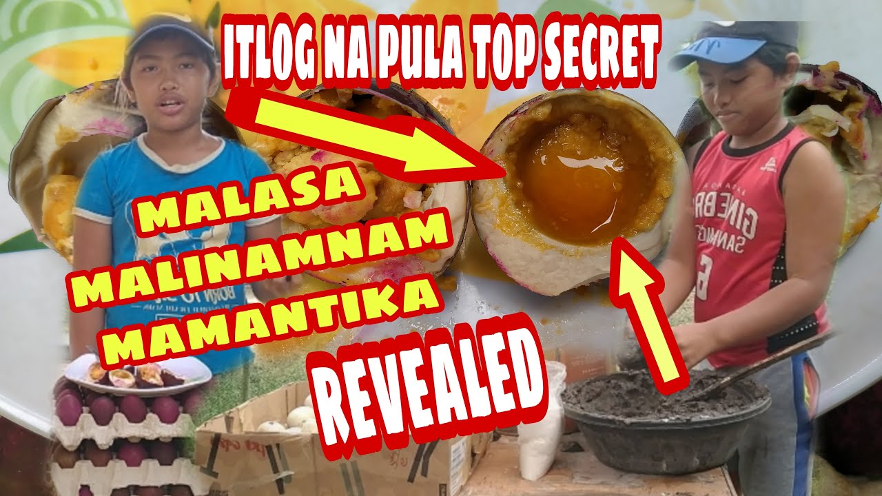 HOW TO MAKE ITLOG NA PULA NA MALASA,MALINAMNAM,MAMANTIKA - YouTube