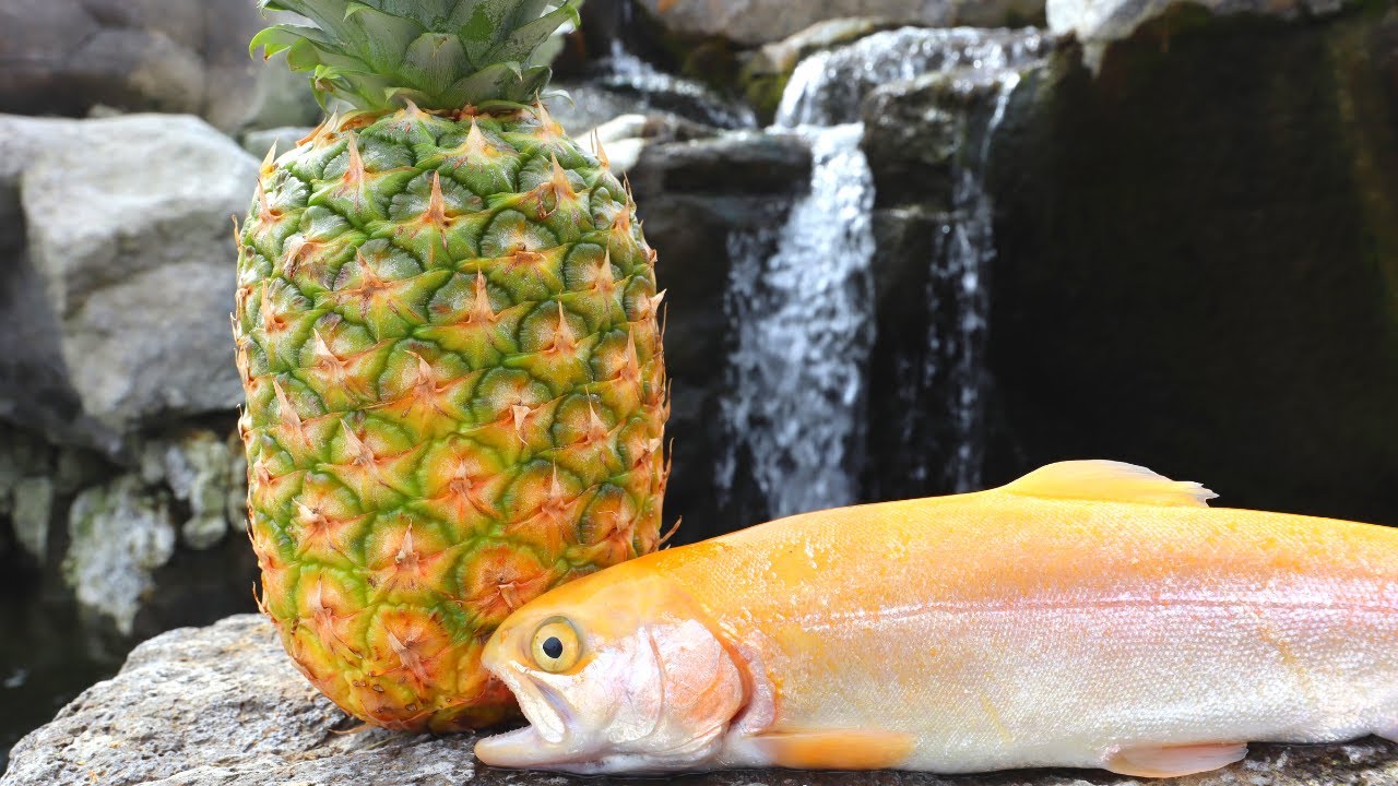 Catch n' Cook Trout IN a Pineapple! - YouTube