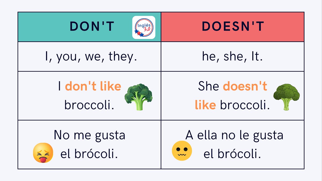 Don’t y Doesn’t: Usos y Estructura - YouTube