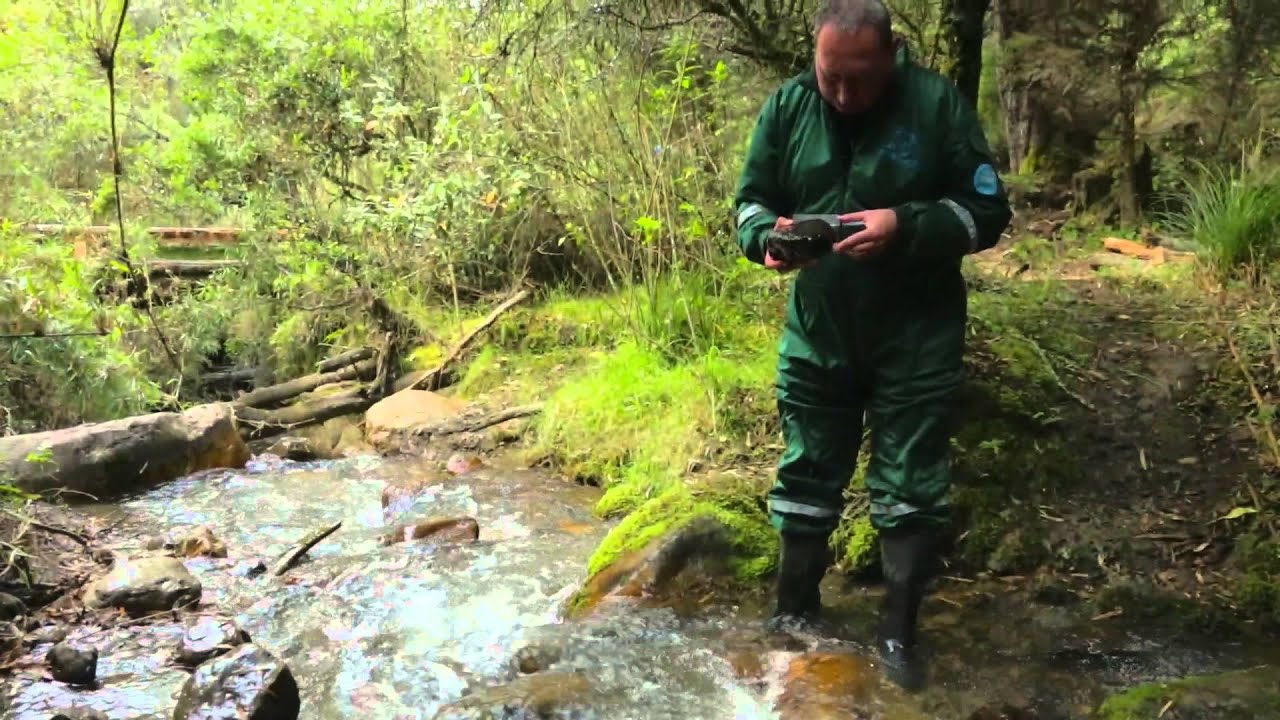 NATIBO CAMINOS DEL RIO SAN FRANCISCO - YouTube
