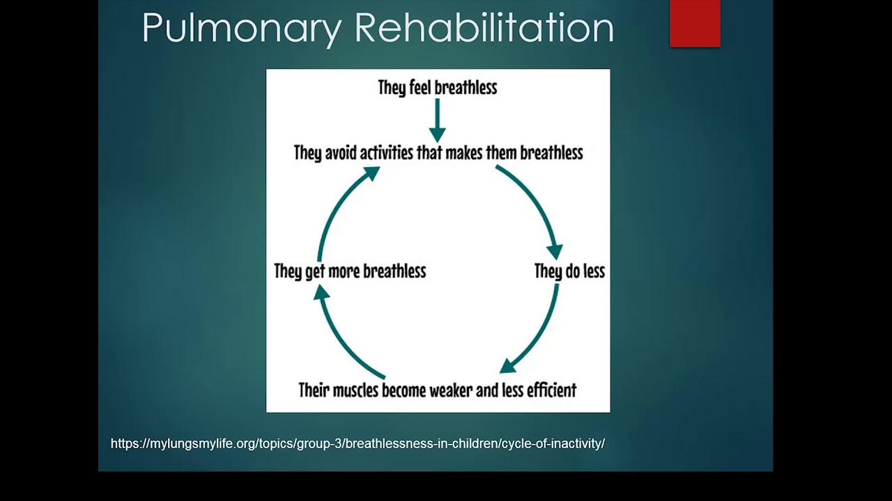 COPD Support Group Session 3 Pulmonary Rehab - YouTube