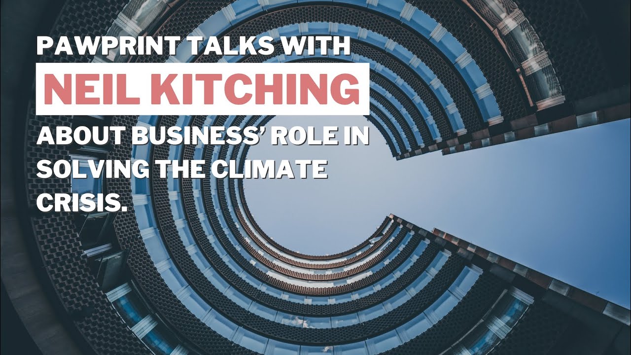 Carbon choices: Neil Kitching on how to be a low carbon business - YouTube