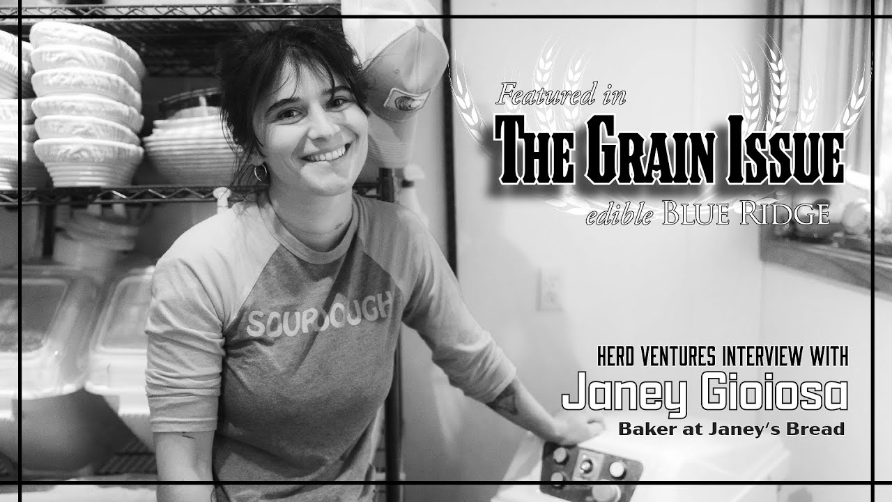 Interview with a Baker: An Expedition of Wood Fire Baking at Janey's ...