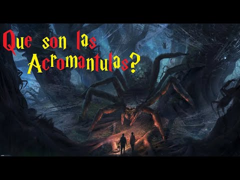 Que son las Acromántulas? (Magizoología) - YouTube