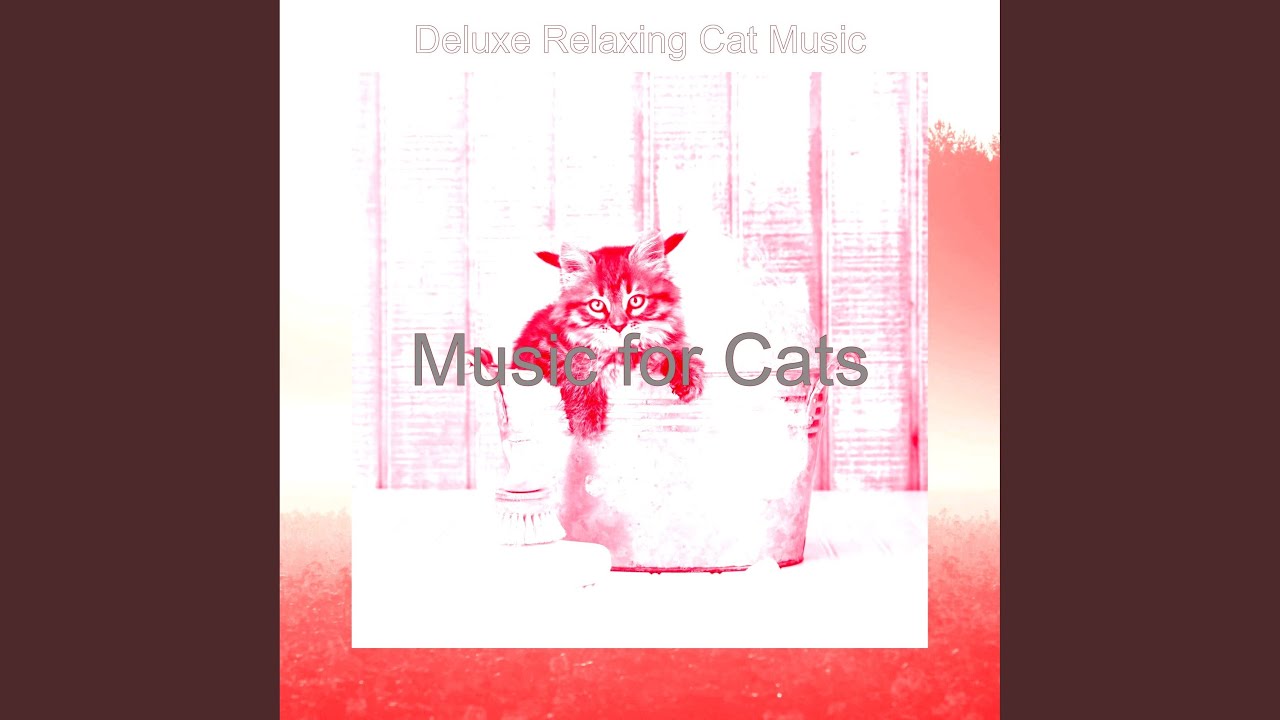 Easy Listening Electric Guitar Soundtrack for Kittens - YouTube