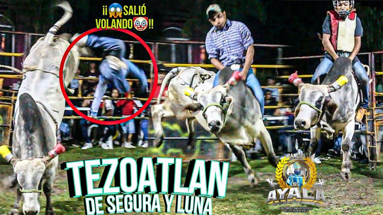 AH P3R4O-NO TE SUELTES!! 😱SALIÓ VOLANDO EL🤡 PAYASO🤣SHOW DEL TORO ENANO ...