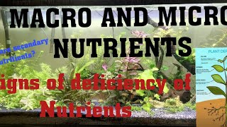 Macro and micronutrients in aquatic plants|Signs of Nutrients Deficiency in Plants| #macroandmicro