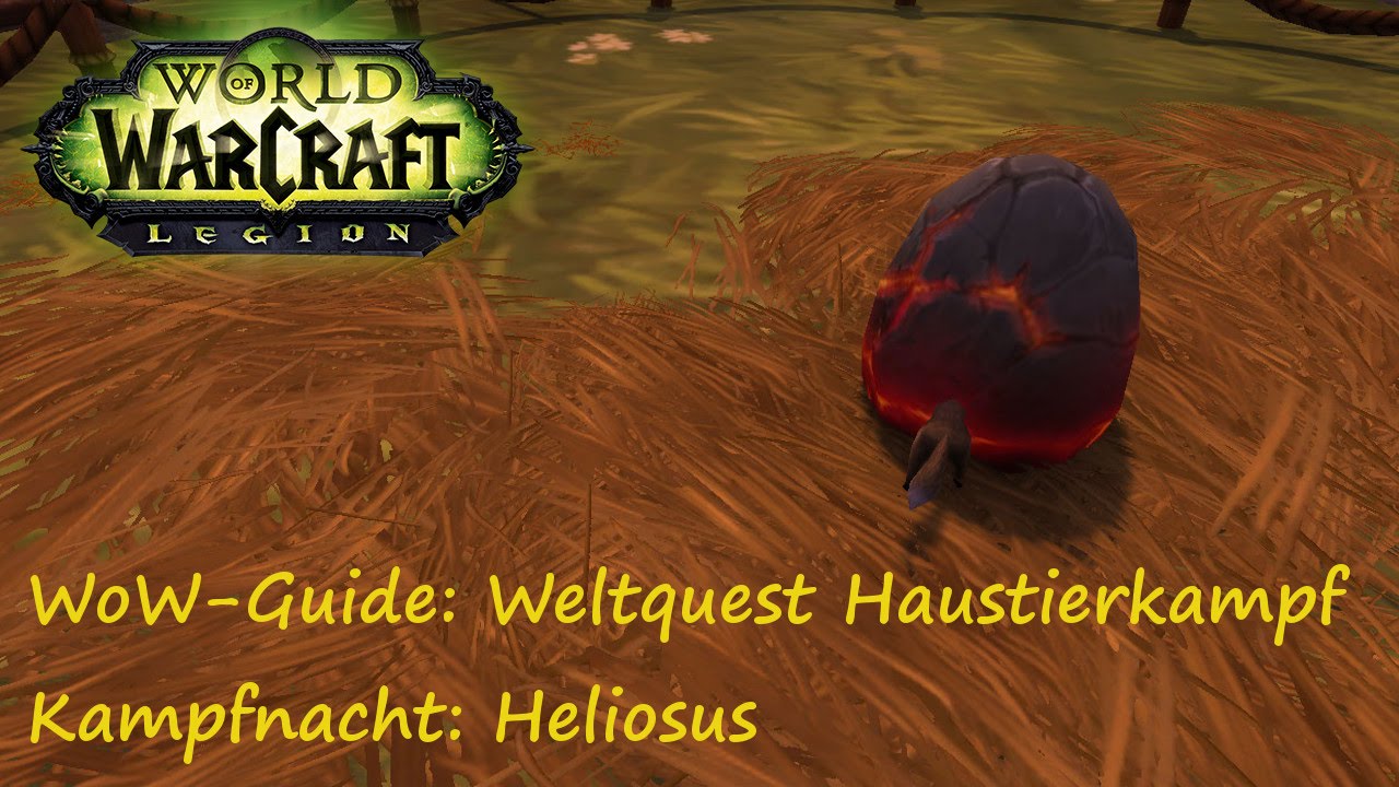 WoW-Guide: Weltquest Haustierkampf - Kampfnacht: Heliosus - Heliosus ...