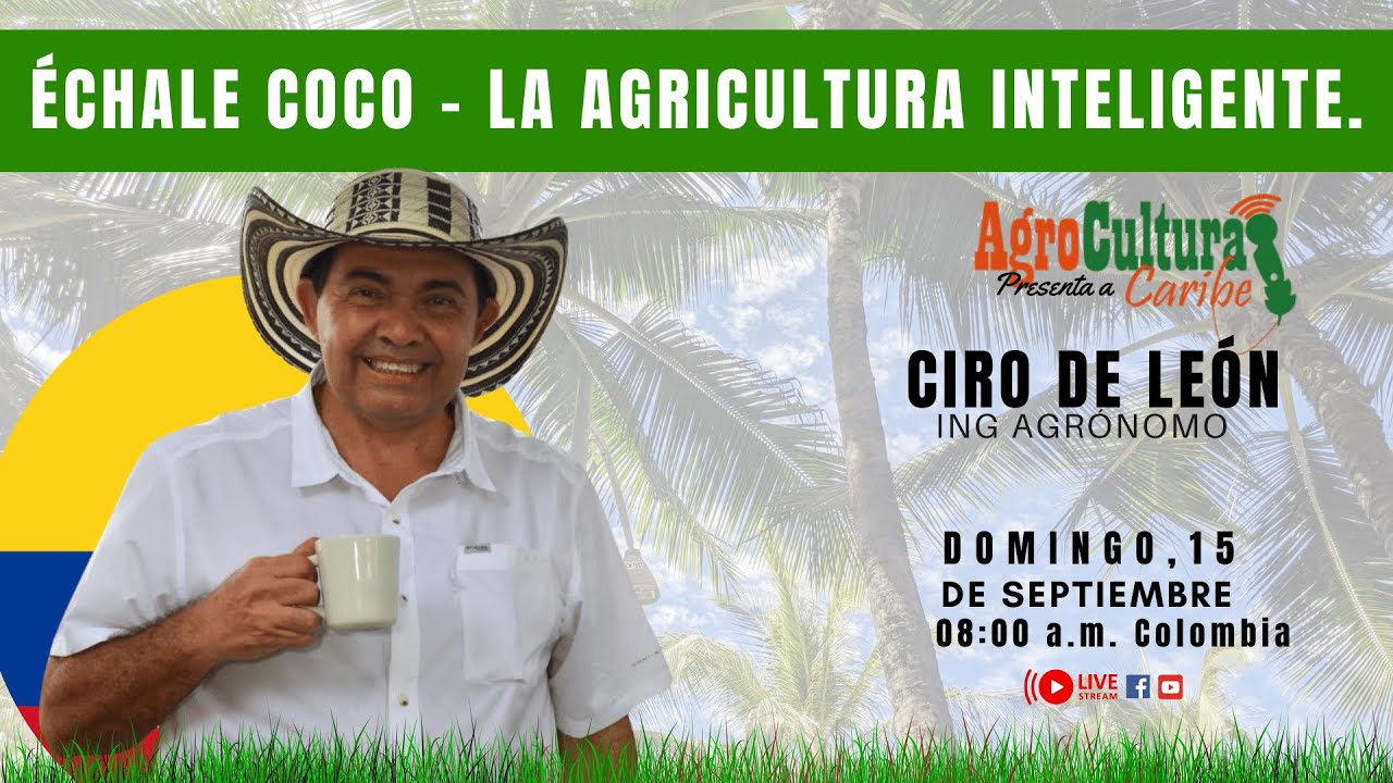 Échale coco - La agricultura inteligente. - YouTube