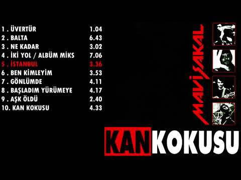 MAVİSAKAL - İstanbul