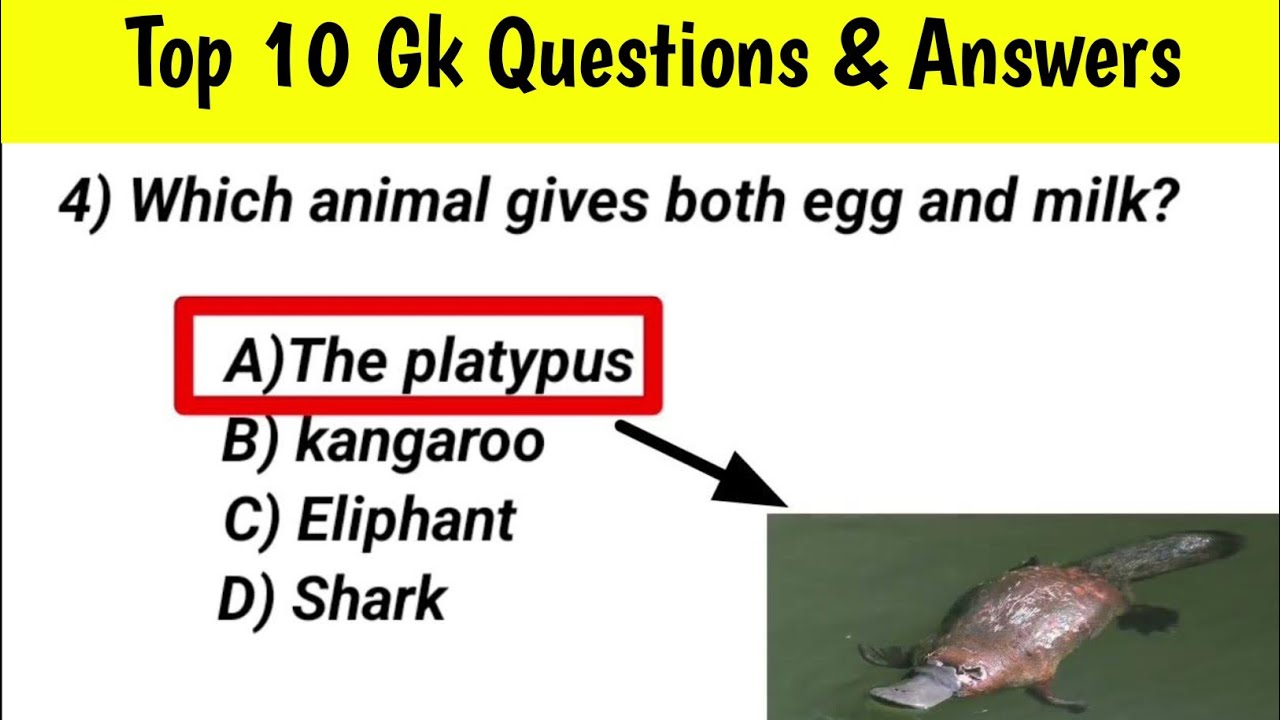 Top10 GK questions and answers||which is gold fiber - YouTube