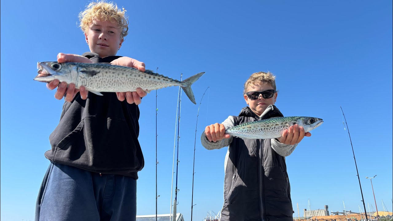 An EPIC trip to Portland (multiple species ) #catchingfish #fishing # ...