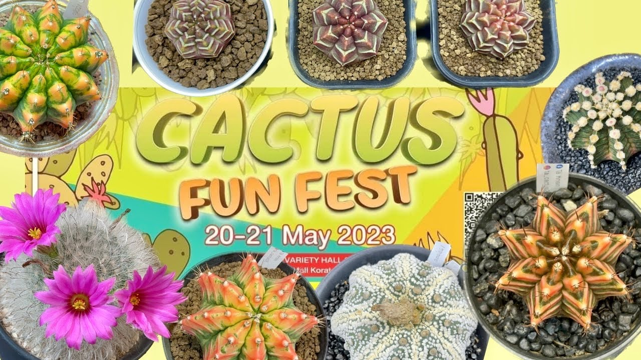 | Garden | Tour Cactus Fair : Cactus Fun Fest @The Mall Korat 20-21May ...