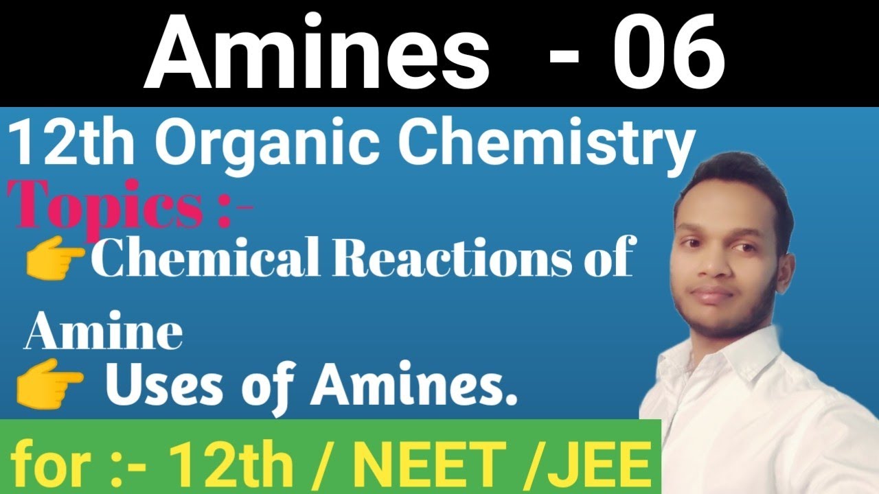 Amines class 12 // Amines organic chemistry class 12 //Amines - 06 ...