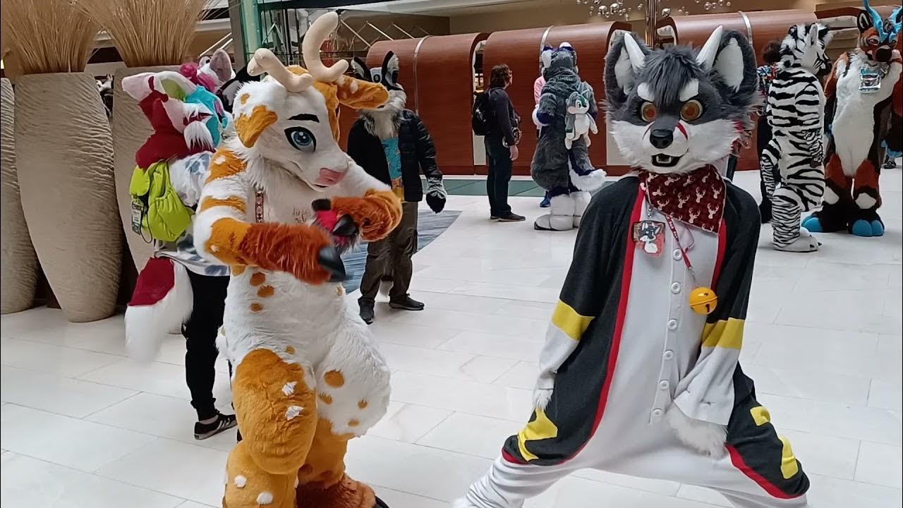 Bella and Mosfet @ Midwest FurFest 2021 - YouTube