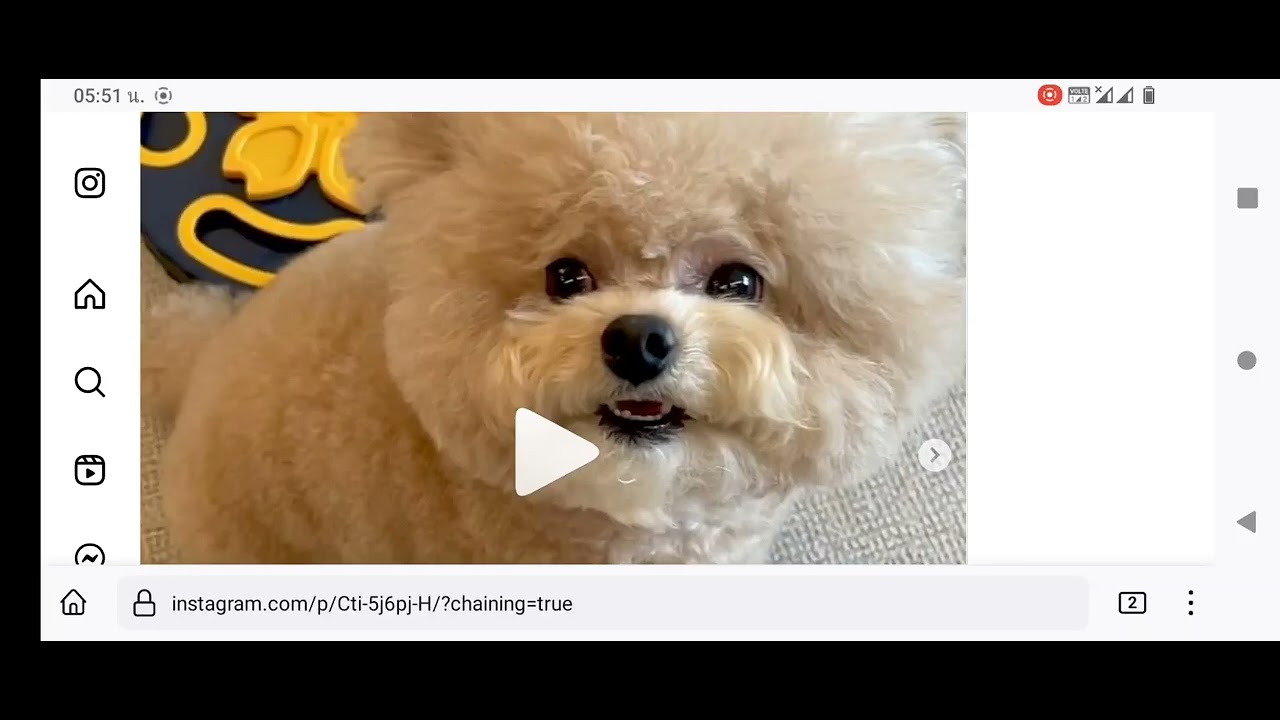 Doggggg you is fan have friends much - YouTube