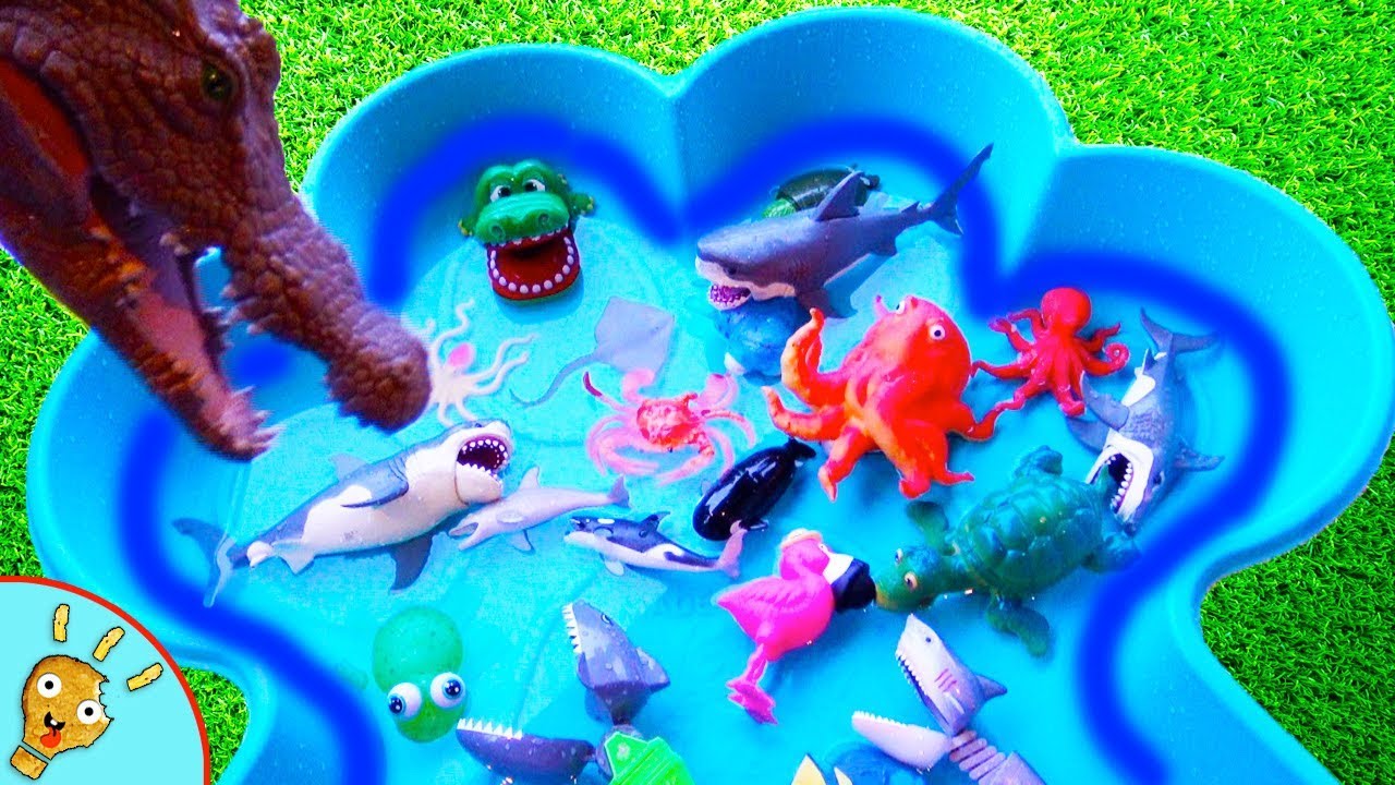 Learn SEA ANIMALS in Blue Water! Ocean Toys by Squishee Nugget - YouTube