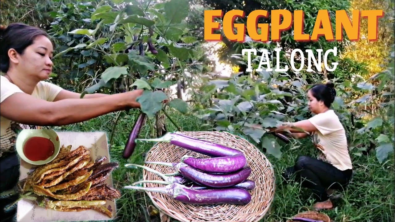 Ibang Paraan ng pagluto sa TALONG!Level up ang SARAP!;Buhay Probinsya ...