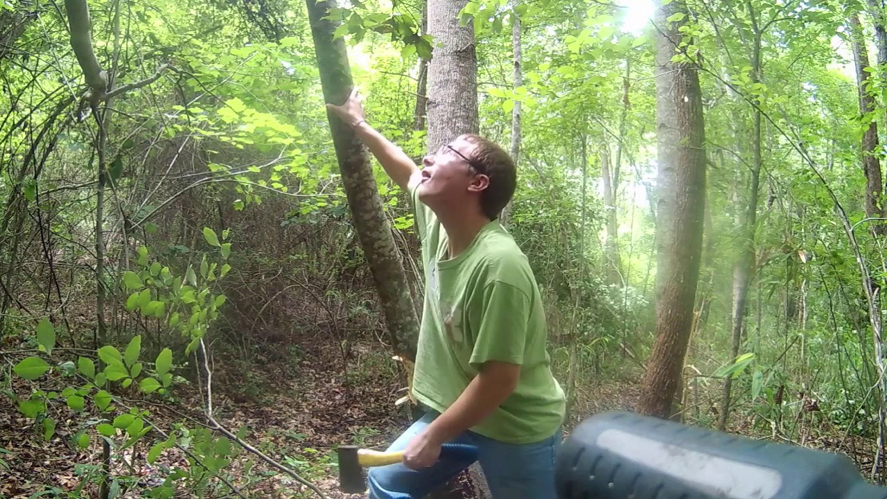 Wooden Log Bridge Build - YouTube