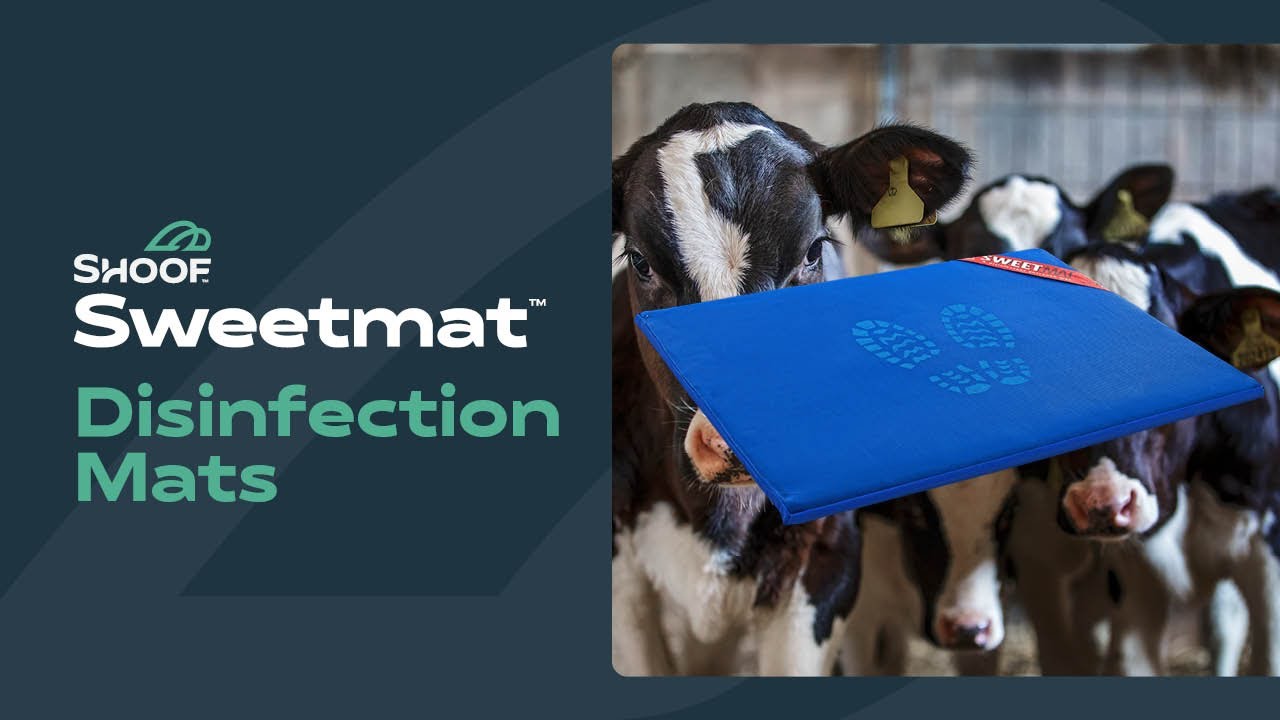 Sweetmat Disinfection Mats - YouTube
